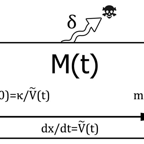 1 The Maturity Structured Model For Megakaryopoiesis As Presented In