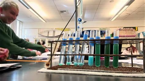 Limiting Reactant Lab Setting The Limiting Reactant Straight With