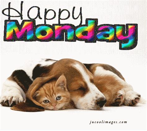 Monday Myspace Orkut Comments Graphics Glitters Styles Happy Monday