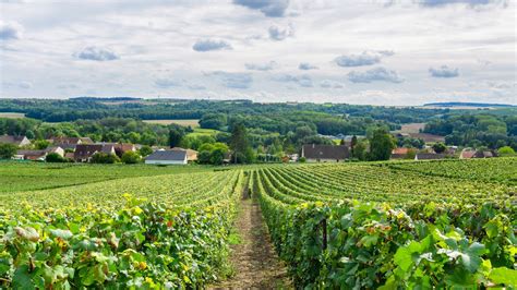 The Beginners Guide To Visiting Champagne Condé Nast Traveler