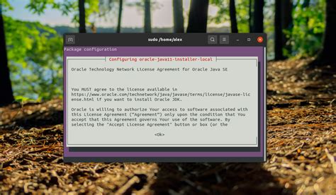 Установка Java в Ubuntu 2004 Losst
