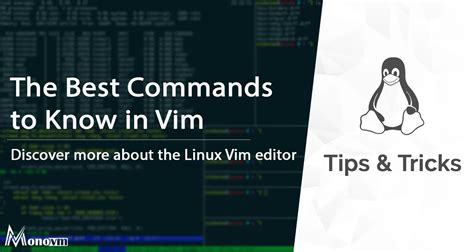 Top Linux VIM Commands With Examples You Check In Updated