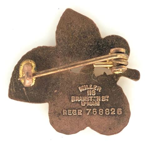 Sally Bosleys Badge Shop Robertsons Pre War Golly Raspberry Fruit Advertising Badge Regd 768826