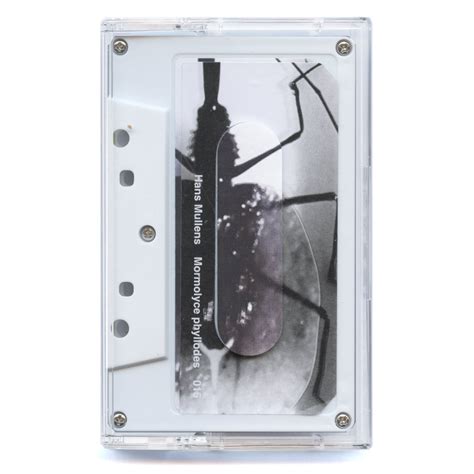 Mormolyce Phyllodes Hans Mullens Dadaist Tapes
