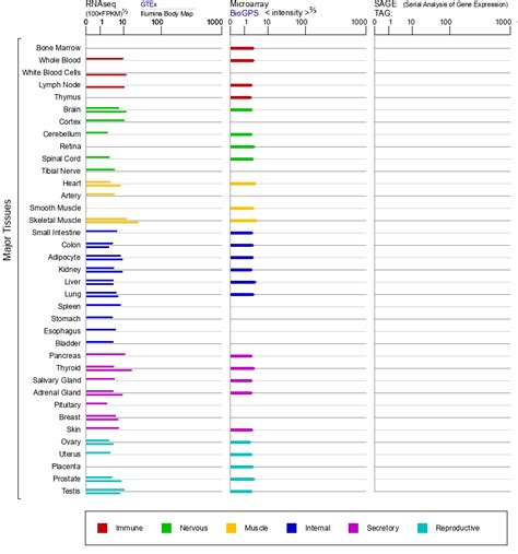 Il12rb2 Gene Genecards I12r2 Protein I12r2 Antibody