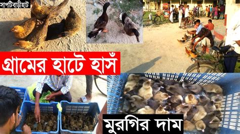 গ্রামের হাটে হাসঁ মুরগির দাম কেমন হাস মুরগির হাট Village Chicken Market In Bangladesh Part 1