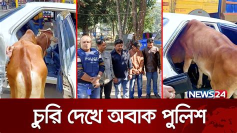 প্রাইভেট কারে করে গরু চুরি News24 Special Youtube