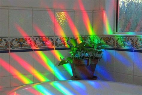 Rainbow Window Arbor Scientific