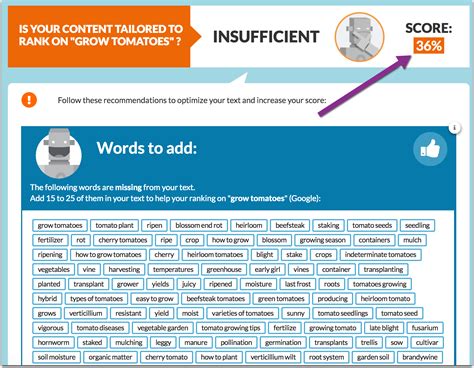 Four Tools To Discover And Optimize For Related Keywords Search