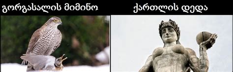 ეგზისტენციალური მიმები