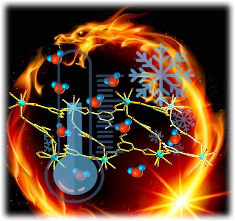 Applied Organometallic Chemistry Vol 39 No 2