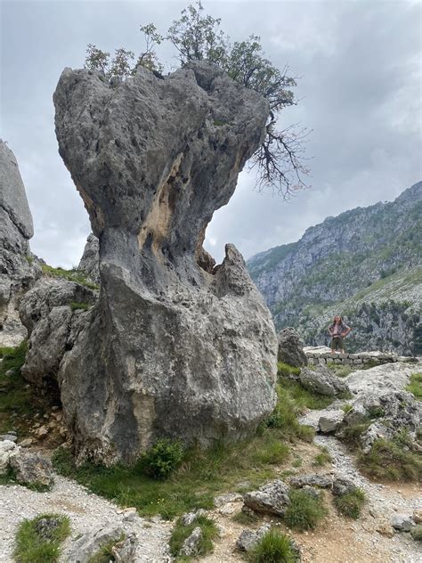 Maak Kennis Met George Van Dijk Van Hubo Loosduinen