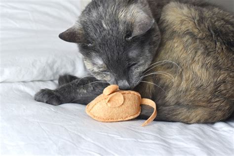How To Sew A Catnip Mouse Cat Toy
