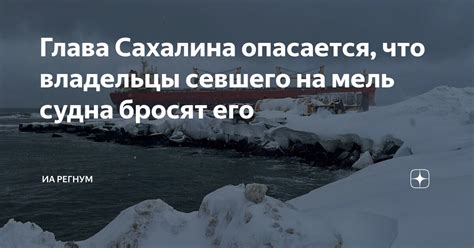 Глава Сахалина опасается что владельцы севшего на мель судна бросят его ИА Регнум Дзен