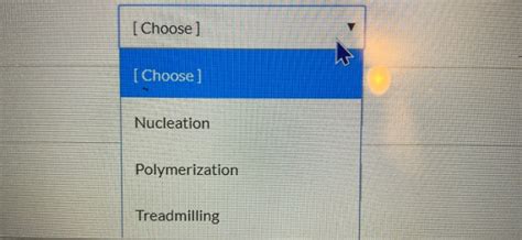 Solved You Perform An In Vitro Actin Polymerization Assay
