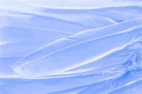 화려한 배경에 아름다운 추상 적색 흰색 보라색 파란색과 밝은 오렌지 깃털과 흰색 패턴에 부드러운 흰색 핑크 깃털 질감 검은색에 대한 스톡 사진 및 기타 이미지 Istock