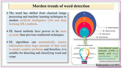 Weed Detection Using Deep Learning And Laser Weed Control Pdf Agriculture Industries