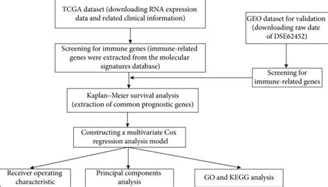 Flow Chart Of Data Preparation Processing Analysis And Validation