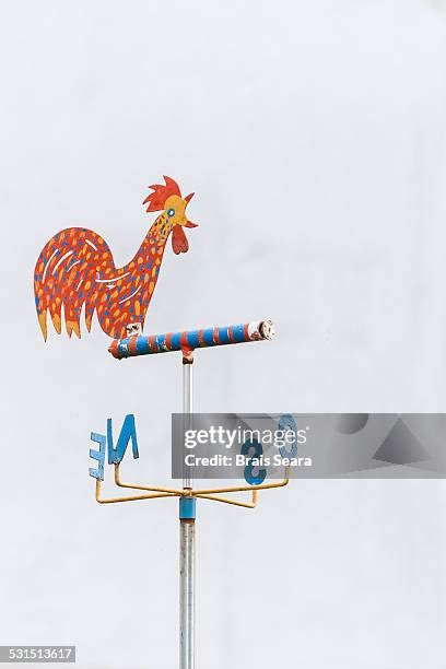 Vane Compass Photos And Premium High Res Pictures Getty Images