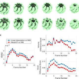 Comparison With Linear Interpolation A Top Interpolation Obtained Download Scientific
