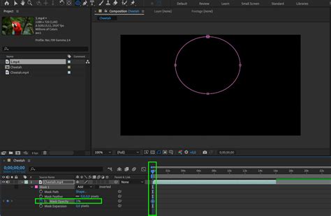 How To Use Opacity In After Effects