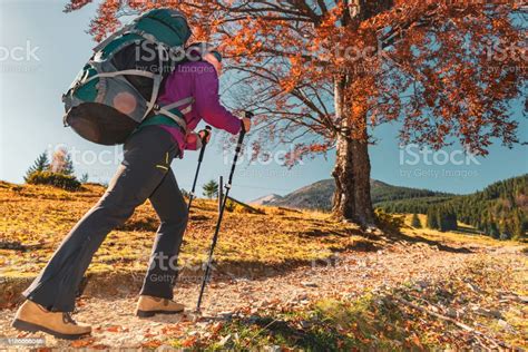 배낭과 트레킹 스틱을 가진 등산객 소녀 산에서 가을 하이킹 기둥에 대한 스톡 사진 및 기타 이미지 기둥 성취 하이킹