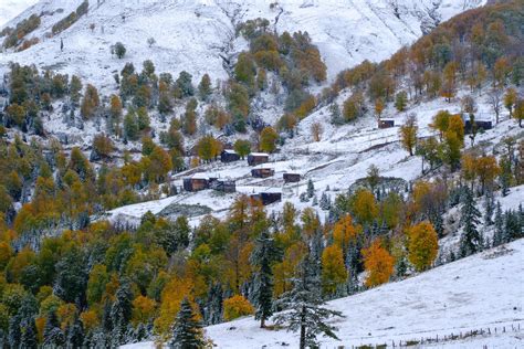 შემოდგომა შეხვდა ზამთარს“ უნიკალური კადრი გოდერძის უღელტეხილიდან