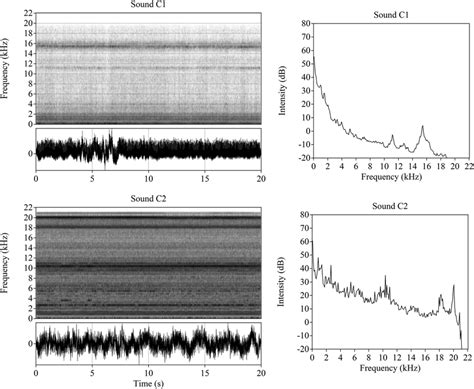 Narrowband Spectrograms And Waveforms Top And Bottom Left And Spectra Download Scientific