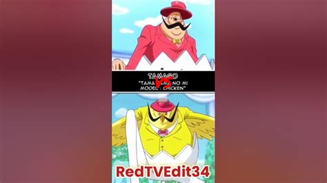 One Piace Vs One Piace 😱 Youtube