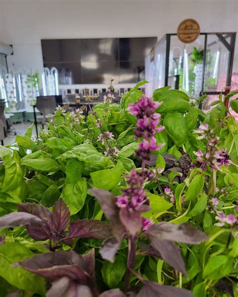 Alaric Overbey On Linkedin One Of Our Key Focuses Is On The Next Generation Of Farmers From Urban…