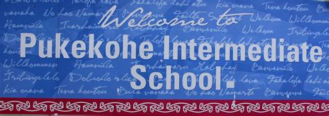 Pukekohe Intermediate School Approved