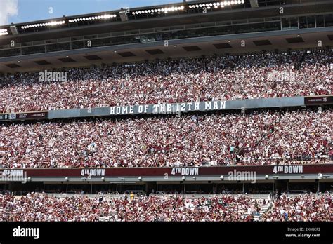 Kyle Field Babe Section