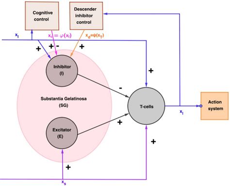 논문 리뷰 A Bang Bang Optimal Control For A Nonlinear System Modeling The