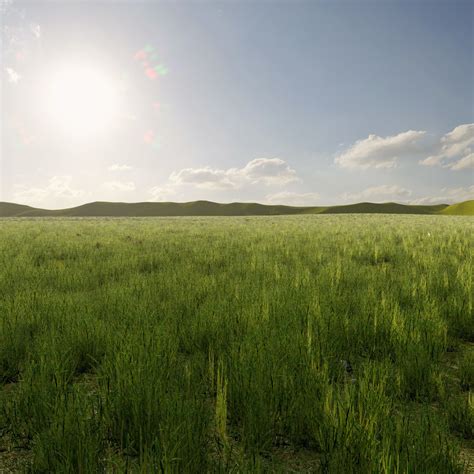 Grass Landscape Model Turbosquid 2002277