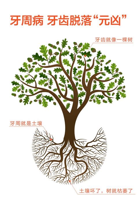 全面解析牙周病 知乎