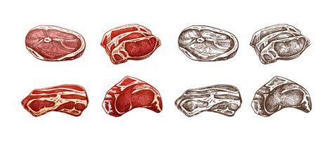 손으로 그린 컬러 및 단색 스케치 고기 조각 돼지 고기 또는 쇠고기 스테이크 고기 자르기 베이컨 고기 조각 날고기 빈티지 일러스트입니다 메뉴 장식 개체 그룹에 대한 스톡