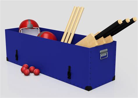 Cricket Storage Poly Case Large Absolute Casing