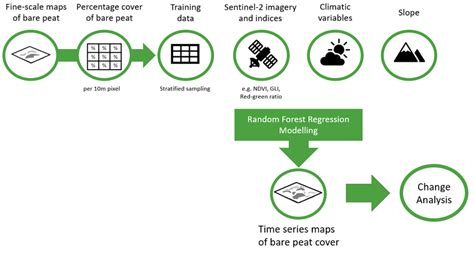 An Infographic Of The Processing Steps In The Time Series Modelling Of