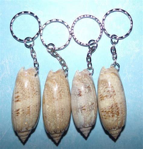 Seashell Keychain Local And Exotic Seashell Keyring 2nd Listing Etsy