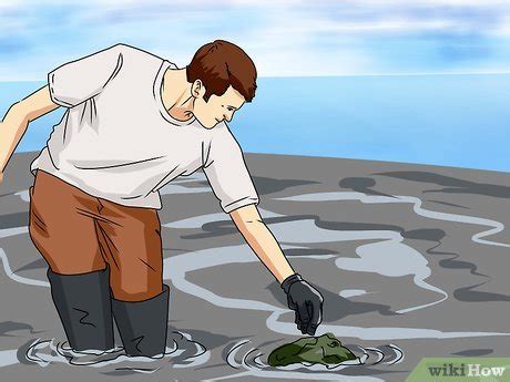 How To Read A Tide Chart A Beginners Guide