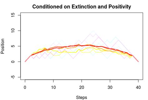 The Asymmetric Random Walk As Displayed In Fig 2 But Conditioned To