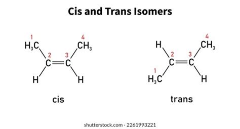 Structure Isomers Over 1 139 Royalty Free Licensable Stock Illustrations And Drawings Shutterstock