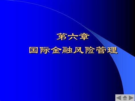 第6章 国际金融风险管理word文档在线阅读与下载免费文档