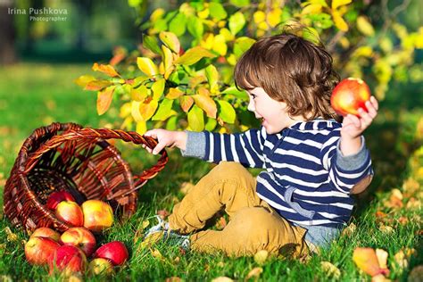 Дети яблоки парк фотосессия корзина малыш ребенок Фотосессия Детские фото Яблоки