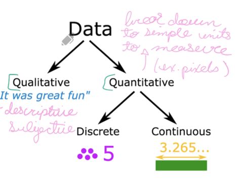 Introduction To Database Flashcards Quizlet Introduction To Database Flashcards Quizlet