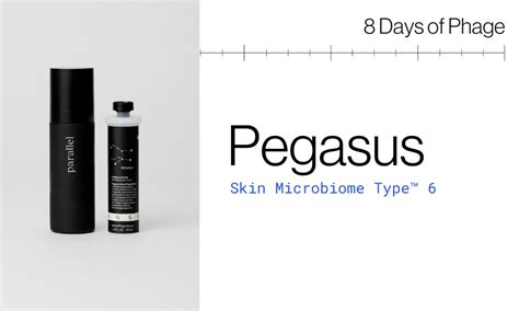 7 Hallmarks Of Skin Aging How Pegasus Serum Takes Them On