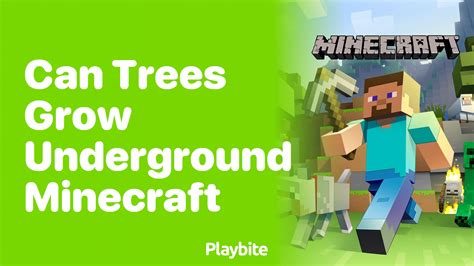Can Trees Grow Underground In Minecraft Playbite