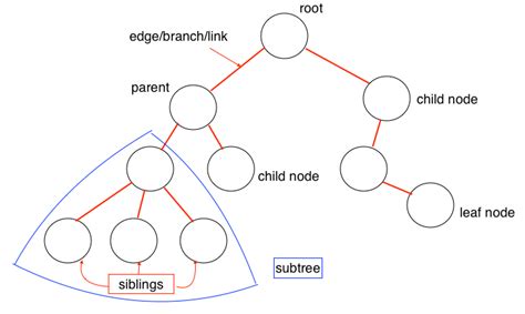 Dsa Day 22 Trees — Introduction By Arya Goswami Placement Preparation Medium