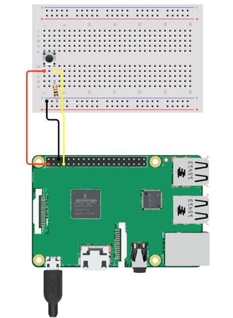 Raspberry Pi With Processing Push Button Lesson 3 Diy Usthad