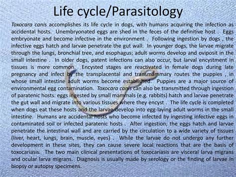 Toxocariasis Pdf